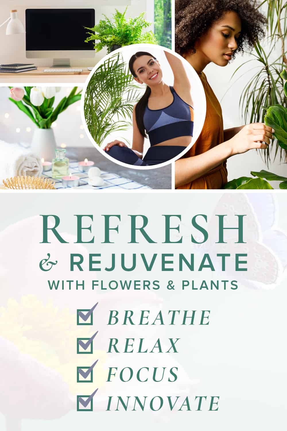 9 Ways Flowers & Plants Are Good for You - Shotwell Floral & Greenhouse