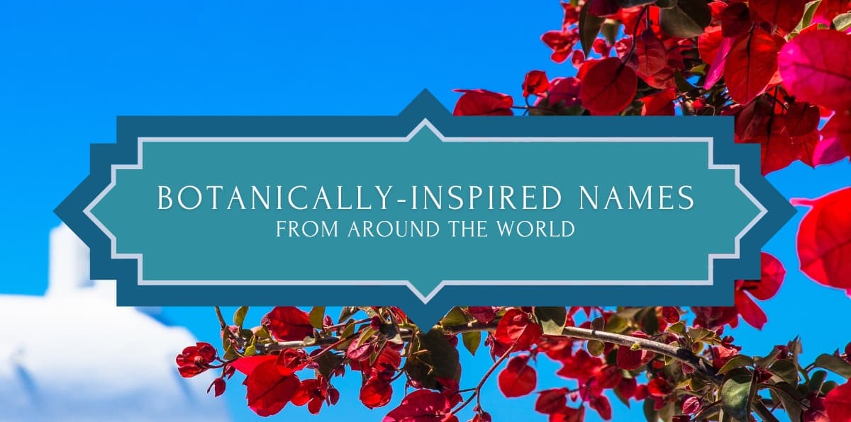 Unique Nature Names for Your Little One or Furry Friend - Shotwell Floral