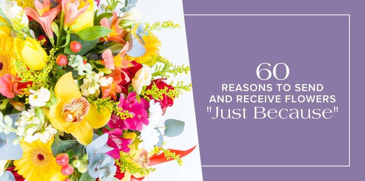 60 Special Occasions to Brighten Someone's Day with Elegant Flowers ...